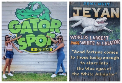 The Wild Side of I-Drive